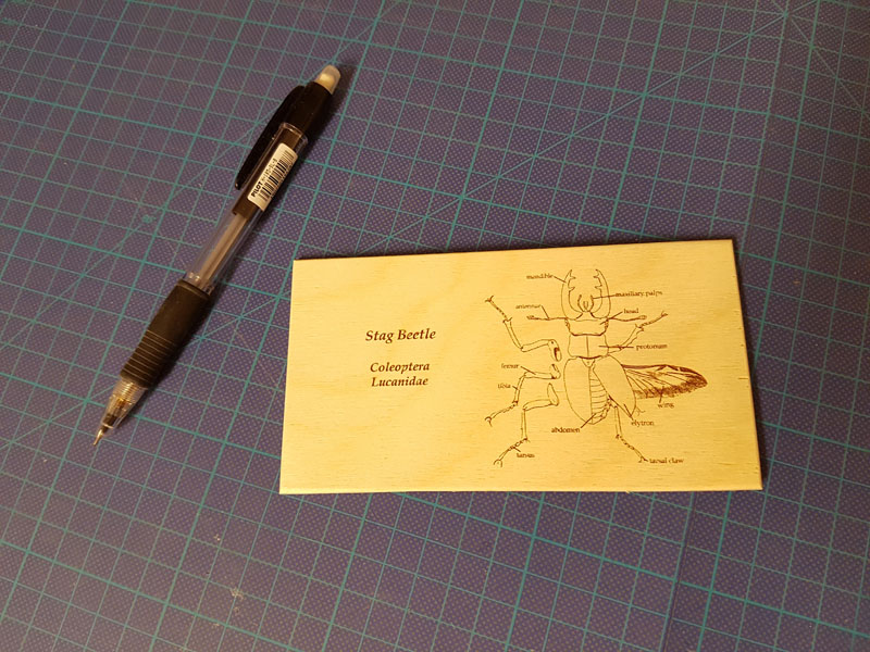 Coleoptera Backpack – Induku Design